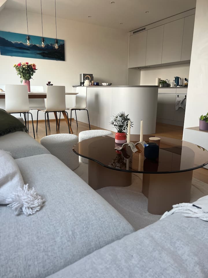 Modern And Spacious Apartment In Zurich - Zurique