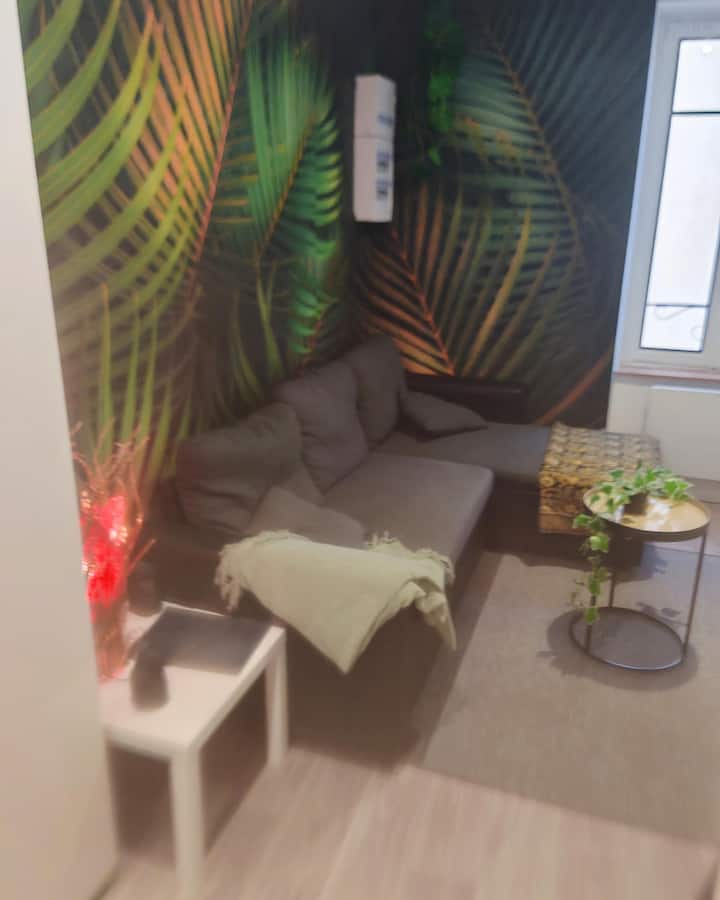 Bulle Tropicale Jungle - Clermont-Ferrand