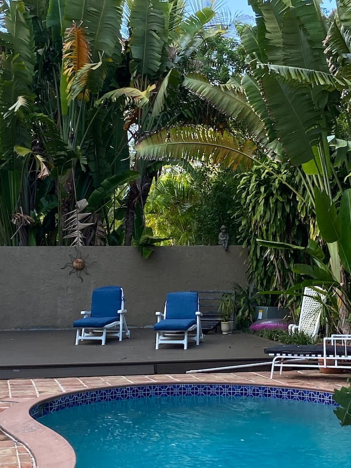 Private Tropical Pool Home Executitive Retreat - Plantation, FL
