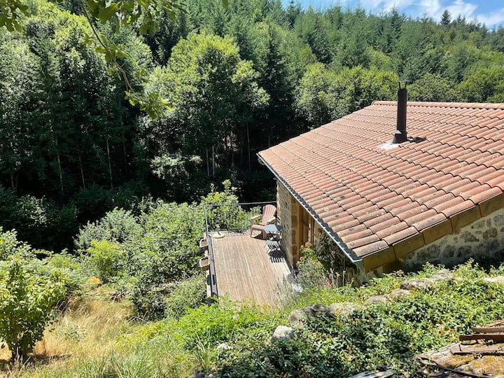 Petit Gîte En Pierre En Pleine Nature - Lamastre