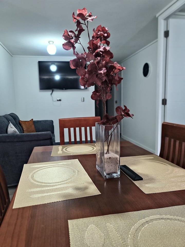 Apartamento Para 4-5 Personas Con Estacionamiento - Santiago, Chile