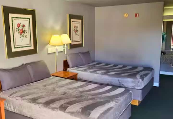 (128) 2 Double Beds Hotel Studio - Livingston, TX