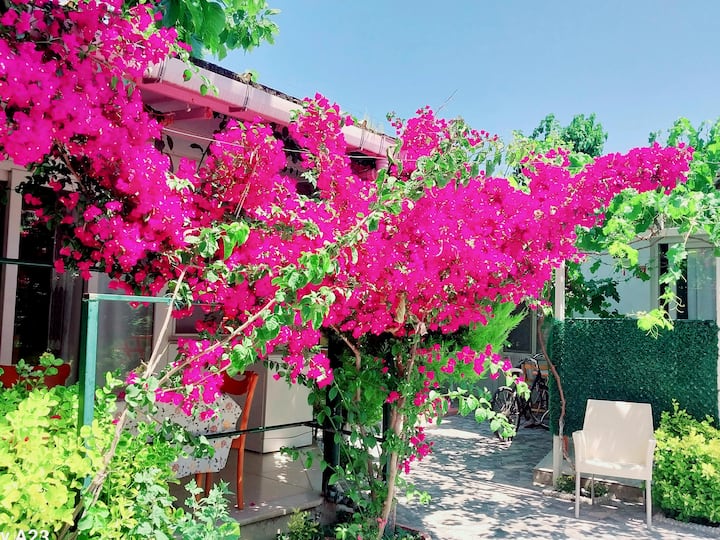 Plaja 1 Dk Bahceli Ev. Merkeze 5 Dakika  Mesadefed - Erdek