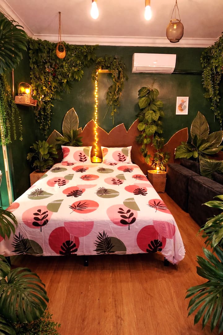 Le Studio Jungle - Graulhet