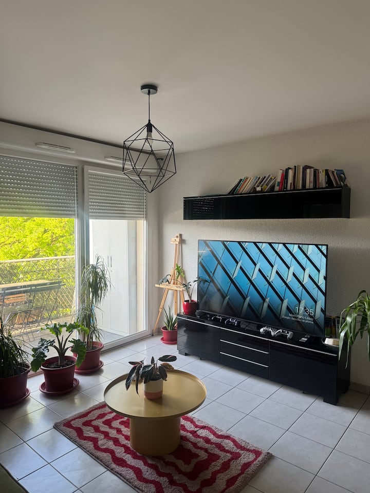 Appartement Calme Entre France Et Suisse - Archamps