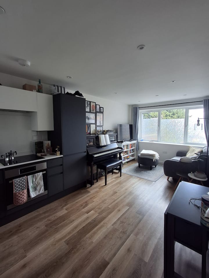 A Stylish One Bed Flat In Woking City Centre - Woking