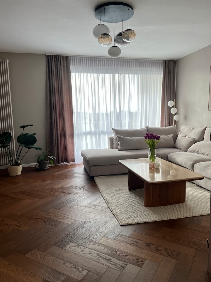 Appartement Proche Centre-ville - Ibis Styles Mulhouse Centre Gare