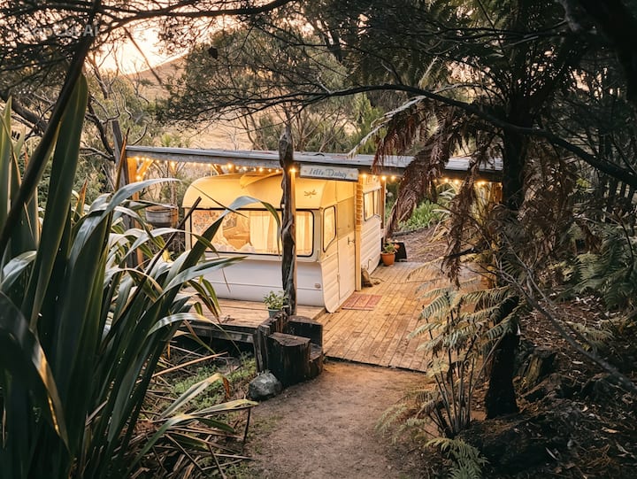 Little Daisy - Unique Caravan Stay Ready For Wsl - Raglan