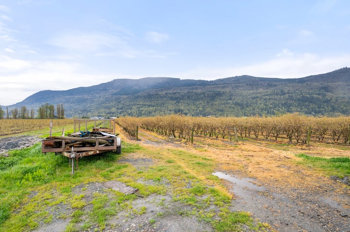 Private Farm Escape With Modern Comforts - Abbotsford