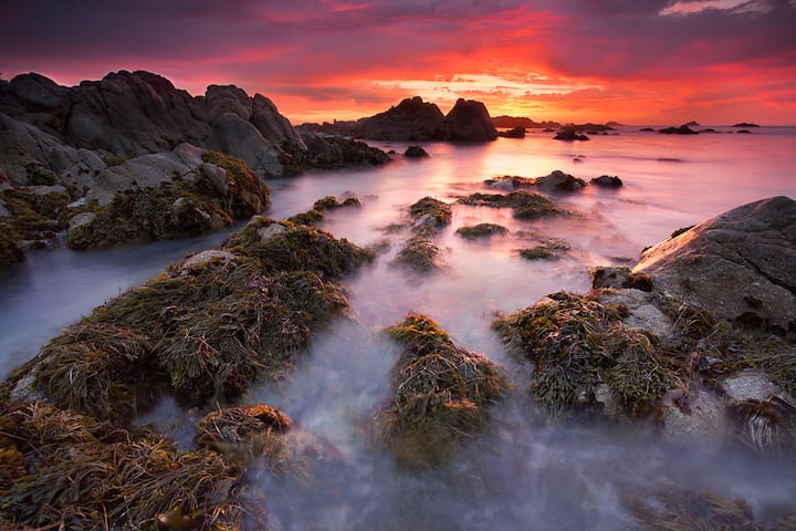 Lovely Carmel By The Sea Home Near All Attractions - Monterey, CA