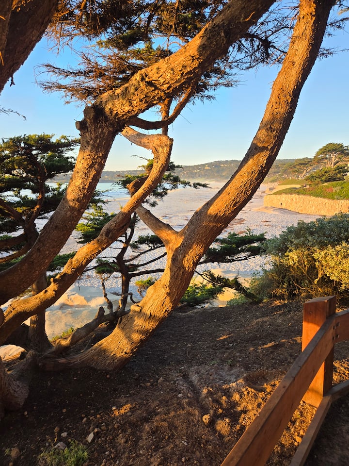 Escape To Forest Serenity In The Heart Of Pebble - Carmel-by-the-Sea, CA