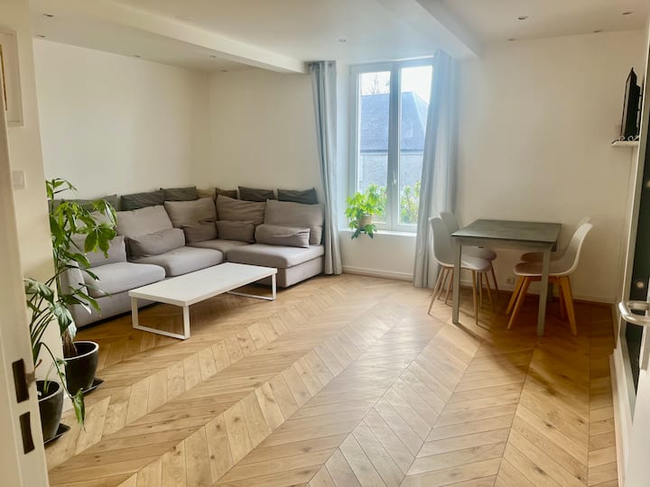 Appartement 4p Proche Châteaux Chambord - Beaugency