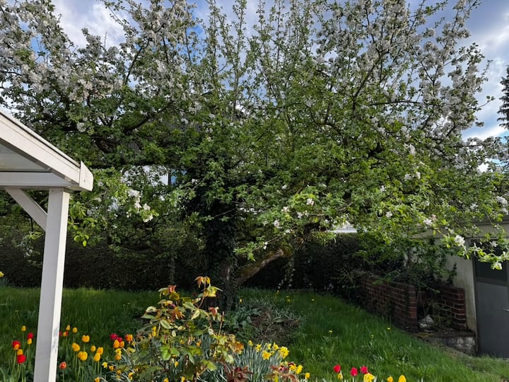 Idylische, Großzügige Doppelhaushälfte Mit Garten - Karlsfeld