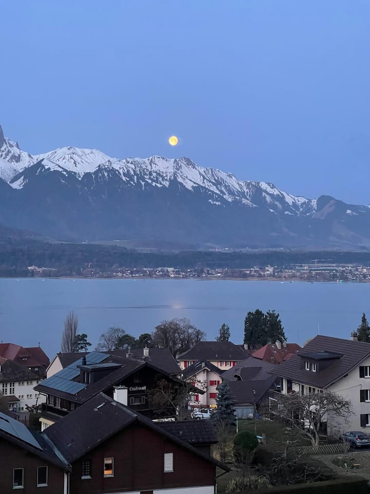 Mon Bijou Chalet Au Lac - Steffisburg
