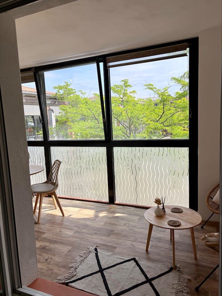 Blagnac Charmant Confortable Appartement De 40 M² - Blagnac