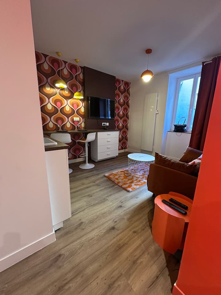 Appartement Cosy, Thème Disco - Rodez