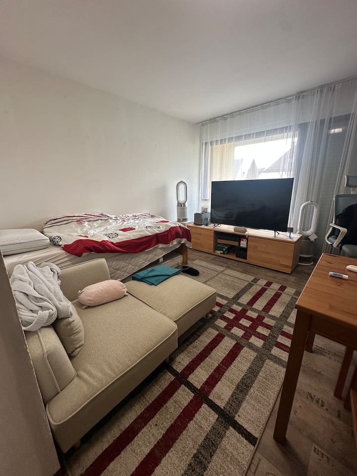 Gemütliche 1 Zimmerwohnung Mit Balkon - Reutlingen