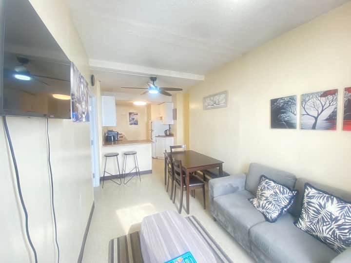 Student Furnished 2bed, Walk To Queen & Downtown - Kingston