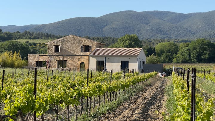 Maison En Pierre Dans Les Vignes Proche Lourmarin - Lourmarin