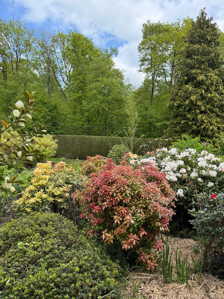 L'orée Du Bois - Cocon Entre Forêt Et Jardin - Cleon