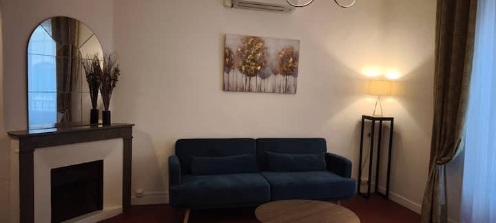 Beau 2 Pieces De Charme Au Cœur De Ville - 阿萊