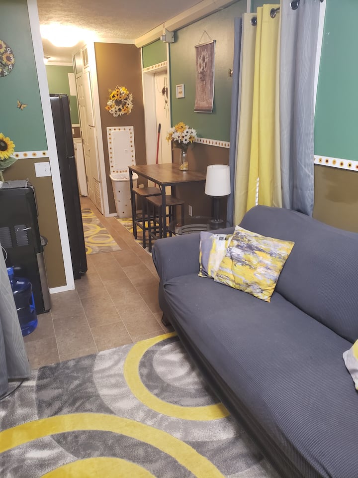 Cozy Sunflower House (Pet Friendly) - Carlsbad, NM