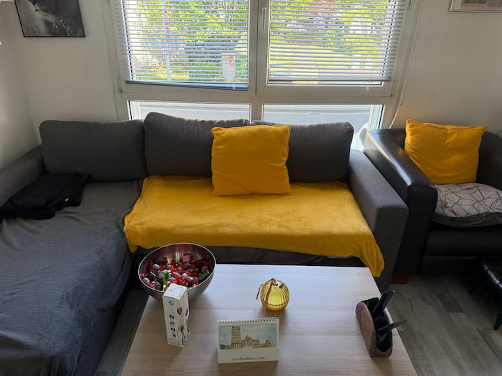 Appartement Cosy Dans Une Résidence Privée - Gare de Strasbourg Ville
