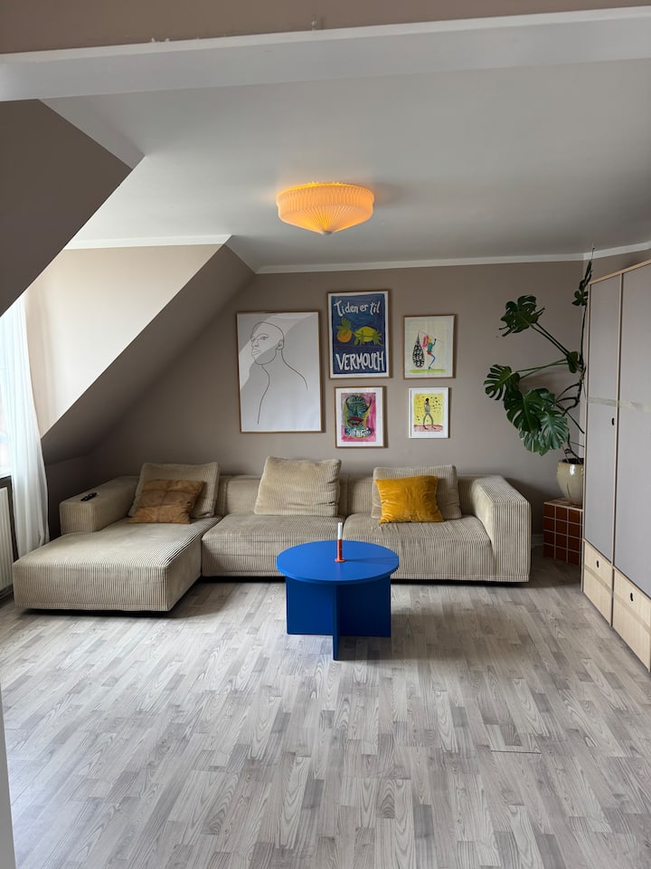 Apartment Overlooking The Lakes, Near City Centre - Copenhaguen