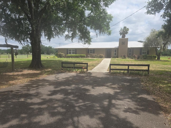 Peaceful Home In The Country With Views Of Cows - Plant City, FL