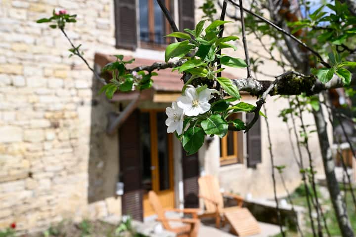 Gite De Caractère Dans La Vallée De La Loue - Ornans