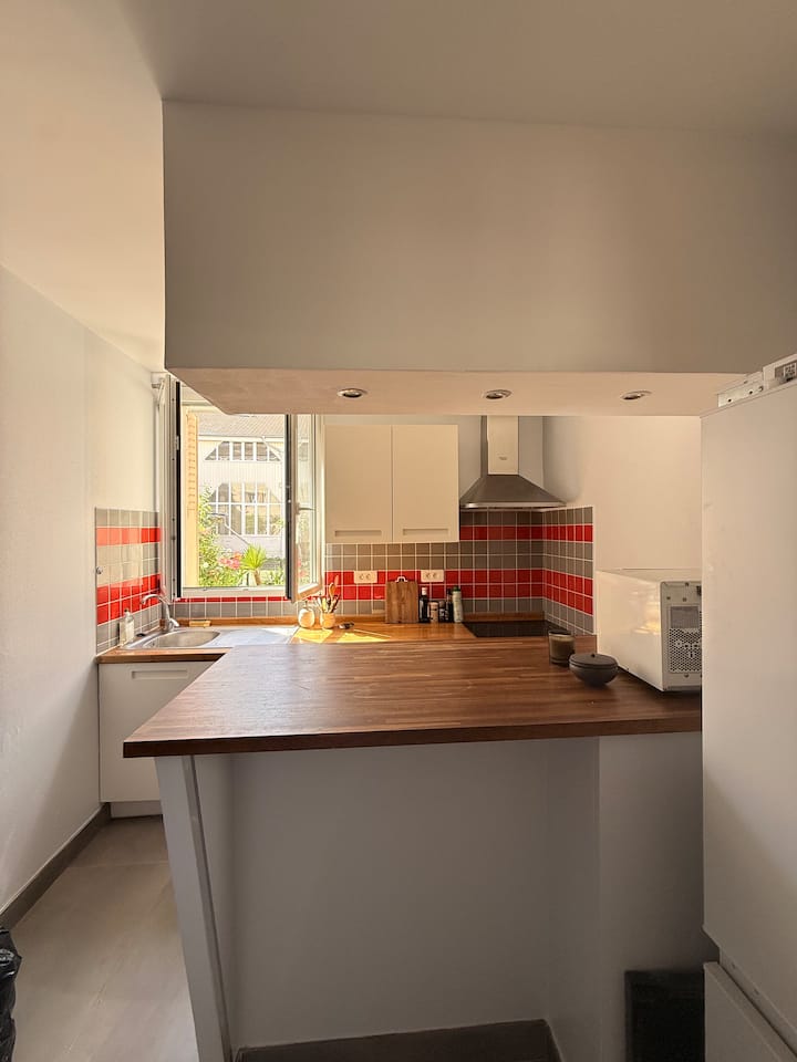Studio De 25 Mètres Carré Proche Paris - Vanves