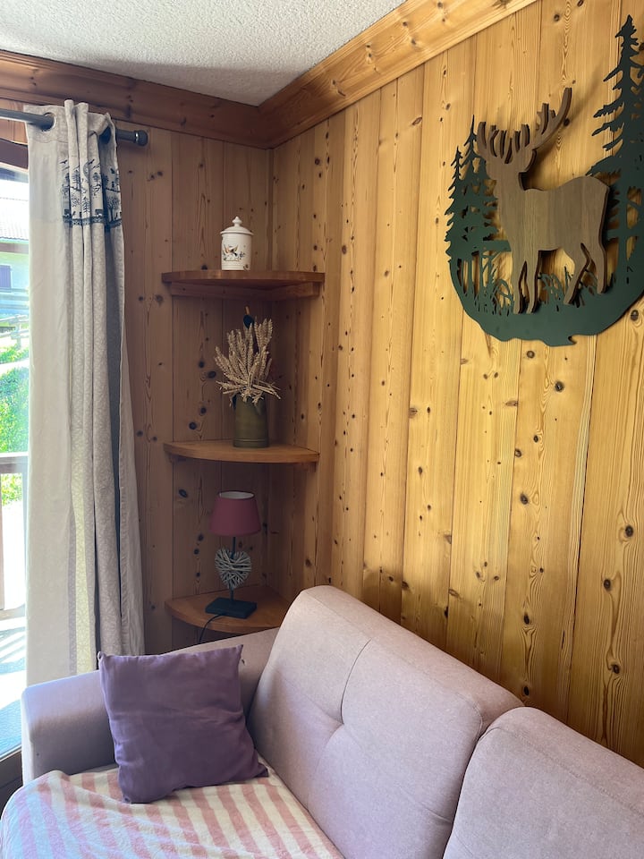 Appartement Près Des Sentiers De Randonnées - Bonneville