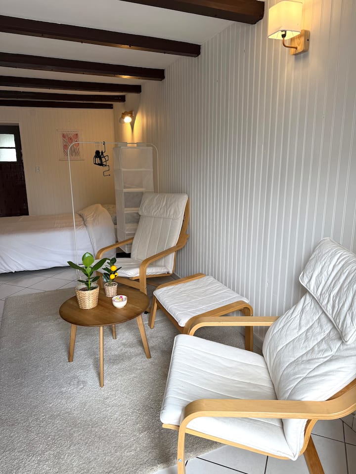 Studio Cosy Rénové, à Deux Pas Des Thermes - Vittel