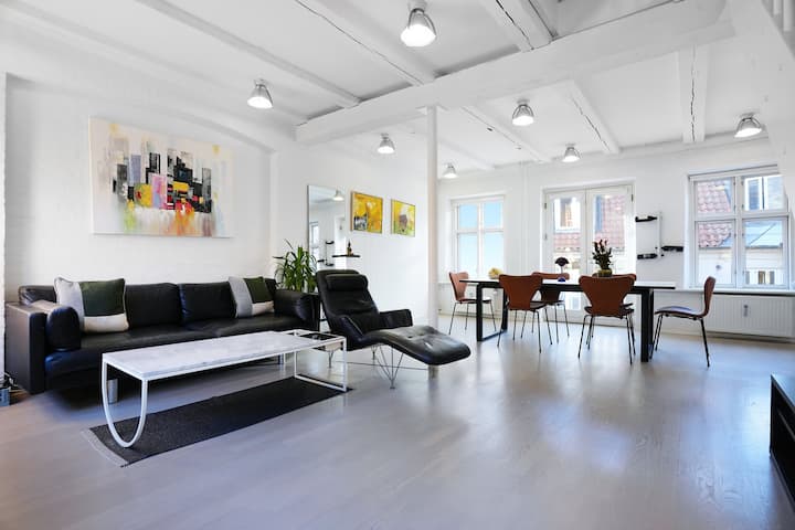 Stor Rummelig Lejlighed I Hjertet Af København - Copenhague