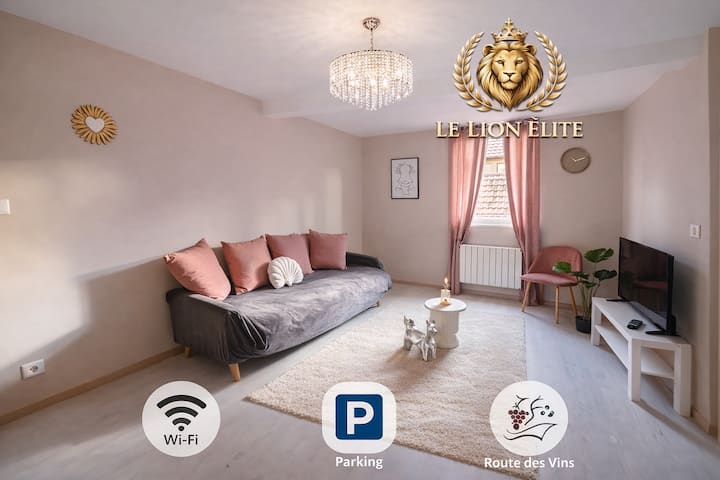 Le Lion Elite - Wifi, Parking, Europa-park - Obernai