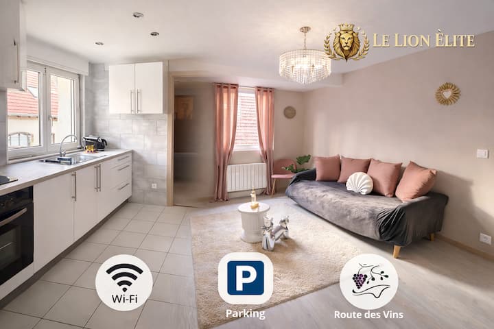 Le Lion Elite - Wifi, Parking, Europa-park - Molsheim