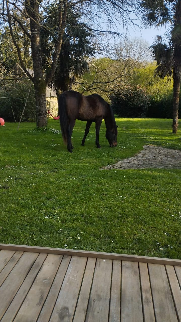 Petite Bergerie En Pierre Pour Campeur - Guidel
