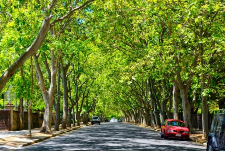 Quiet City Retreat In Charming Unley Cottage - South Australia
