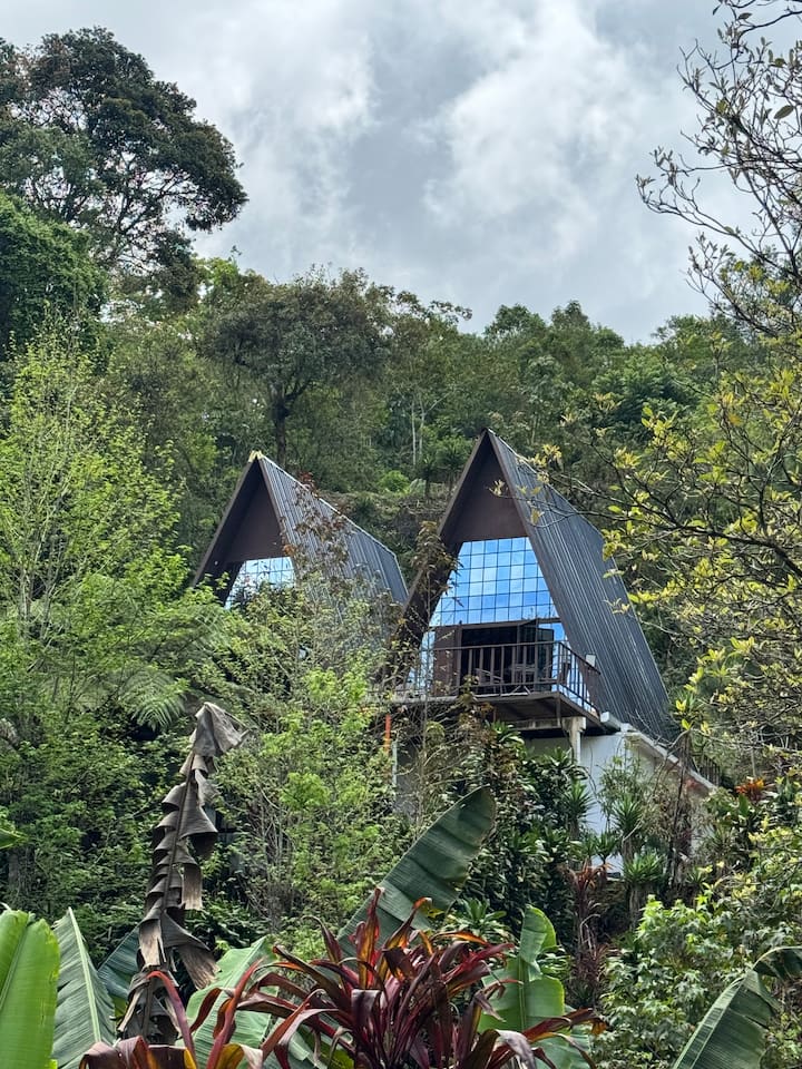 Forest House - Guatemala