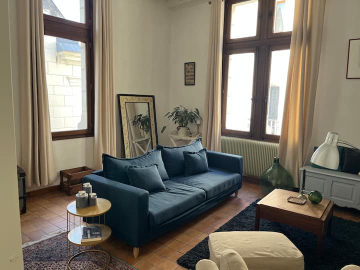 Appartement Avec Cour - Loches