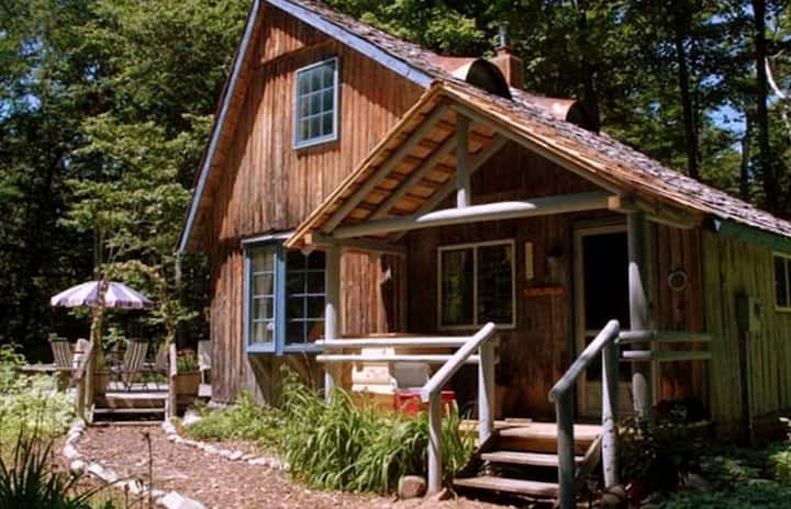 Secluded Log Cabin Near Lake Michigan - Harbor Springs, MI