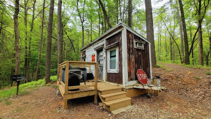 Chipmunk Chalet Tiny Home - Suches, GA