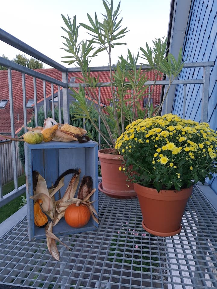 Ferienwohnung Nordwind (312463) - Handewitt