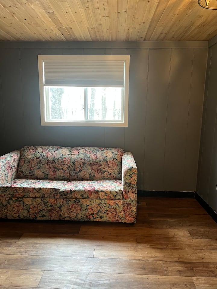 Higgin Lake 1 Bedroom.and Pull Out Sofa. - Roscommon, USA