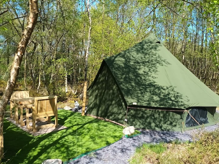 Tall Green Bell Tent - Porthmadog