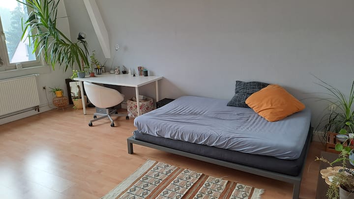 Wunderschöne Helle Altbauwohnung - Frankfurt
