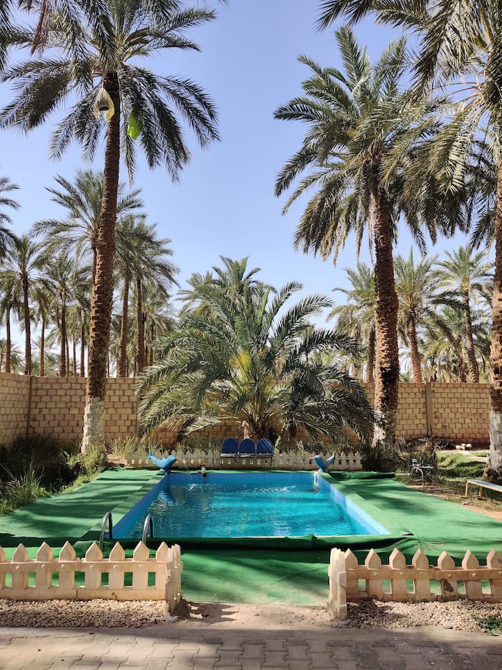 Maison Oasis Biskra-séjour En Famille Avec Piscine - Algeria