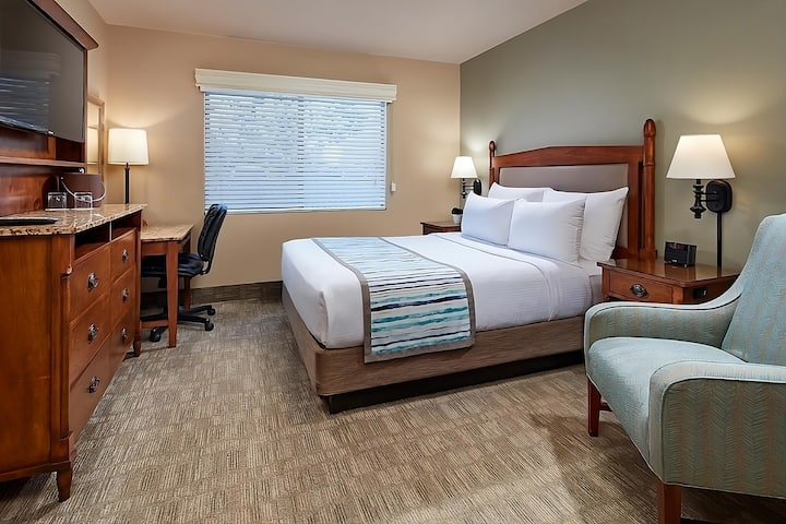 Queen Bed  | Pool Access | Near Zoo - Coronado, CA
