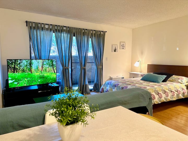 #Gorgeous Entire Studio, Gaurd Gated Pool Gym, T.c - Calabasas, CA