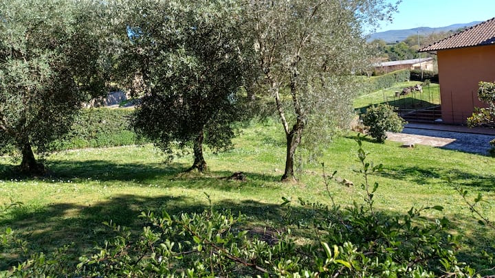 Appartamento In Villa Charlotte Bella Vista - Manciano